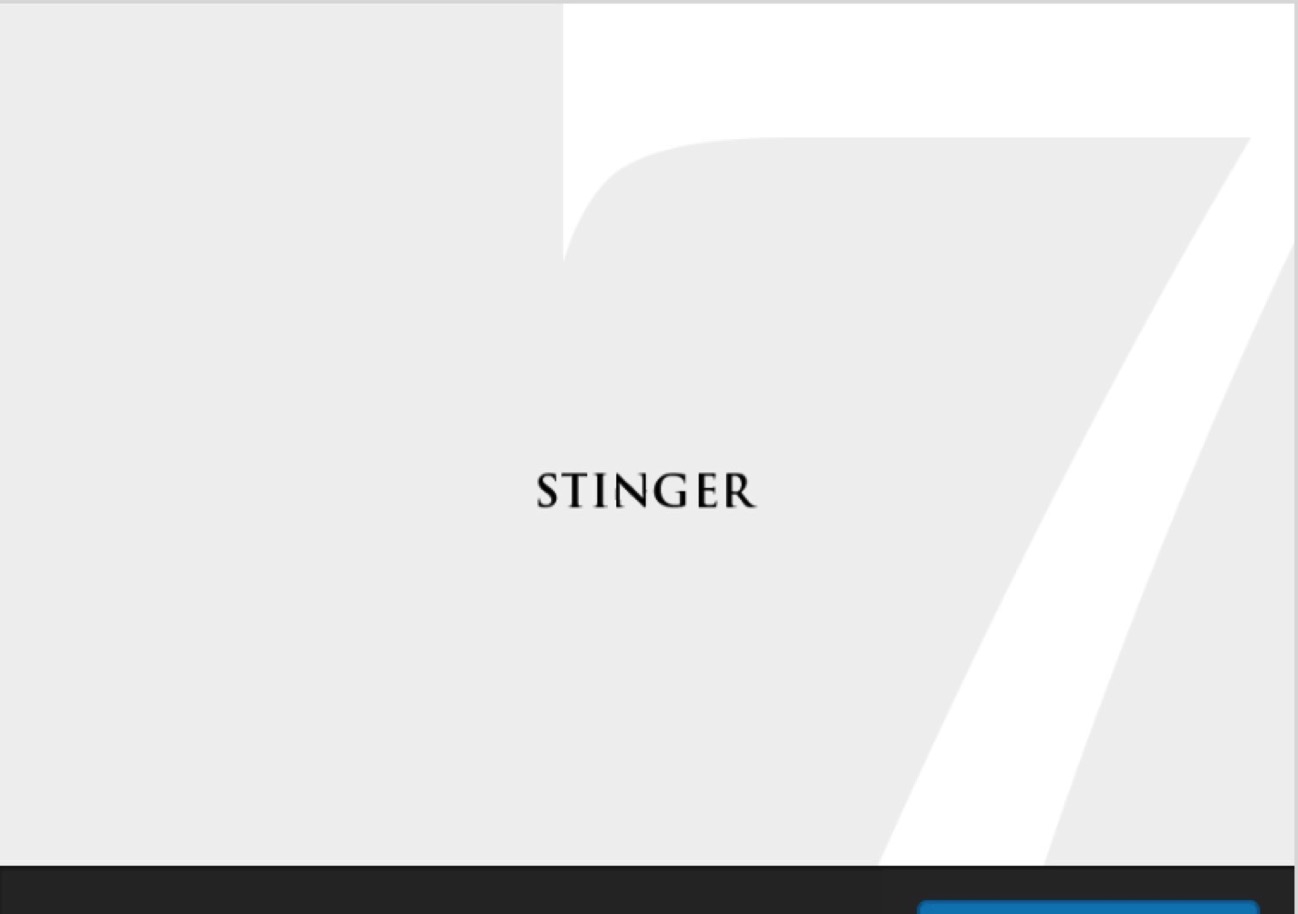 【Stinger7】僕がカスタマイズした項目一覧 | itkhoshi.com